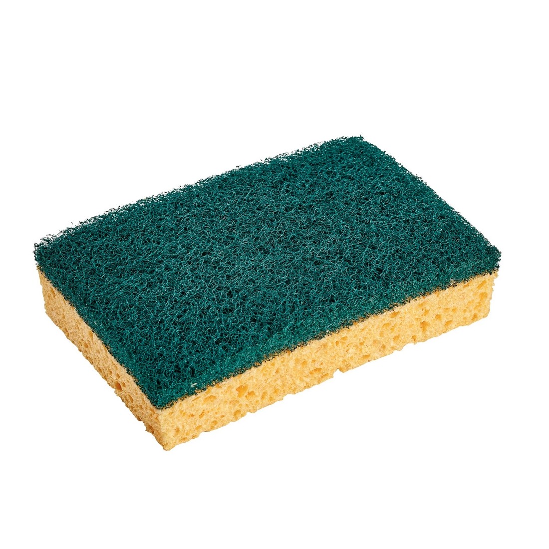 Eponge végétale verte SPONTEX Basic petit modèle -Sachet de 10 éponges